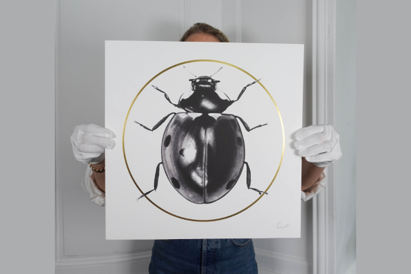 Waggett releases 3rd piece from Halo series | Enter Gallery