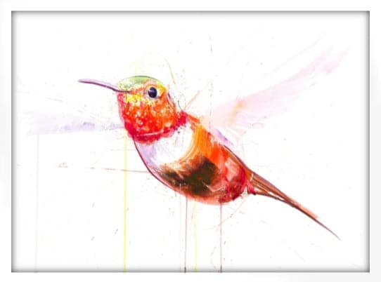 Framed Hummingbird IV art print by Dave White | Enter Gallery