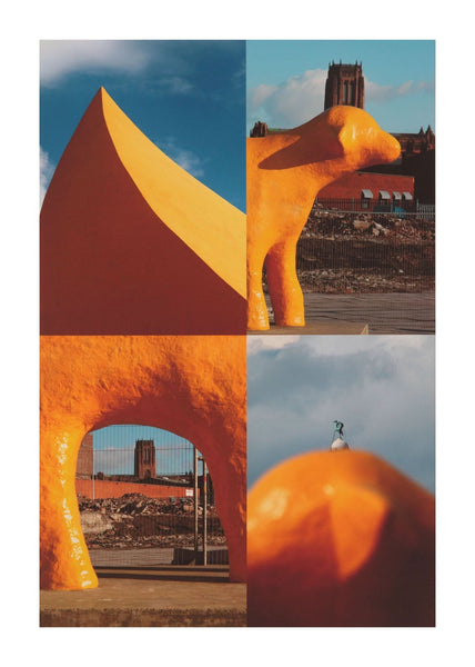 Super Lamb Banana, 2011 photographic print by Mike McCartney | Enter ...