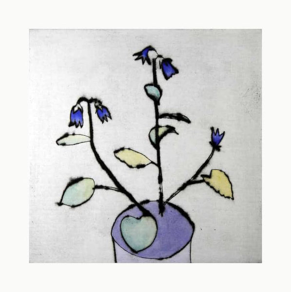 Campanula limited edition etching print by Richard Spare | Enter Galley ...