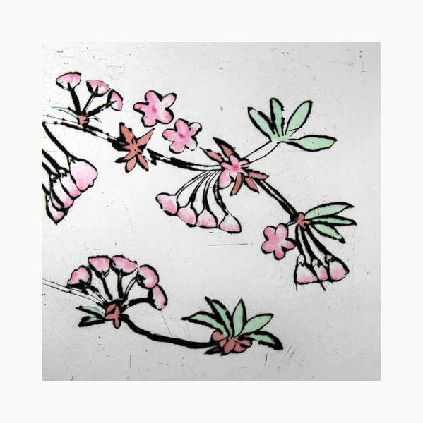 Cherry Blossom limited edition etching print by Richard Spare | Enter ...