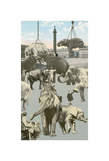 Framed (BTP) Paris, Elephants by Peter Blake | Enter Gallery