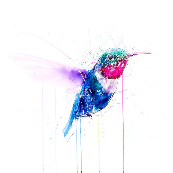 Hummingbird I art print by Dave White | Enter Gallery
