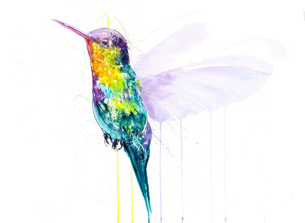 Hummingbird VIII, Original by Dave White | Enter Gallery