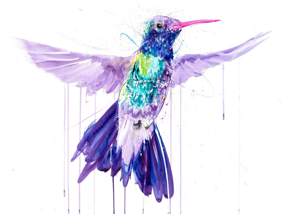 Hummingbird V, Original by Dave White | Enter Gallery