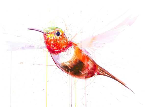 Hummingbird IV, Original by Dave White | Enter Gallery
