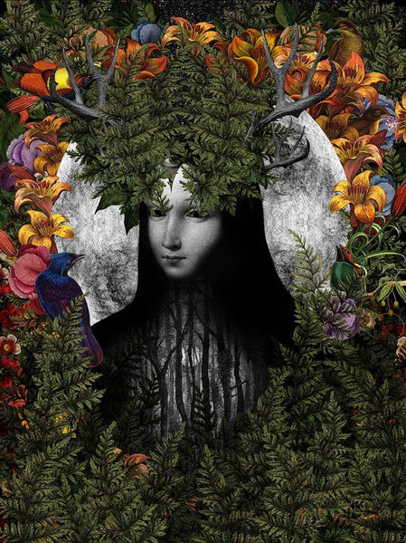 Old Growth limited edition art print by Dan Hillier | Enter Gallery